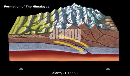 The Himalayas started forming about 70 million years ago as a result of tectonic plate activity ...