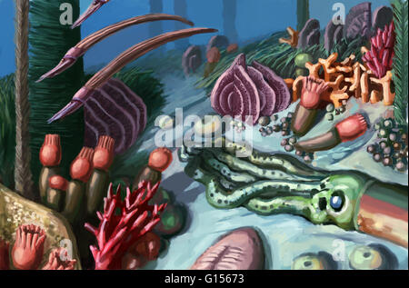 Illustration showing sea creatures of the Ordovician period (between ...