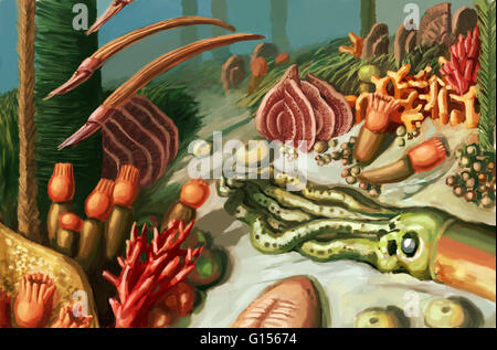 Illustration showing sea creatures of the Ordovician period (between ...
