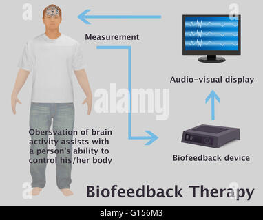 An illustration diagram of the feedback loop between person, sensor ...