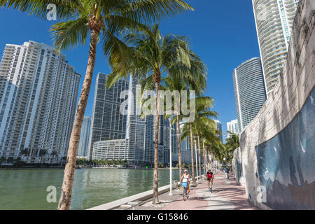 PALM TREES RIVERWALK BRICKELL AVENUE SKYLINE DOWNTOWN MIAMI FLORIDA USA ...