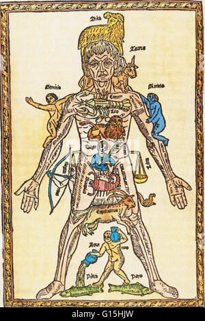Medical Zodiac Man, 16th Century Stock Photo - Alamy