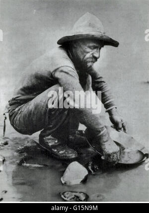 The Gold Rush, gold miners in California, 1849 Stock Photo: 50028139 ...