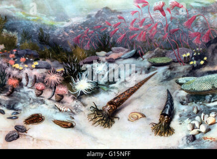 The Silurian is a geologic period and system that extends from the end ...