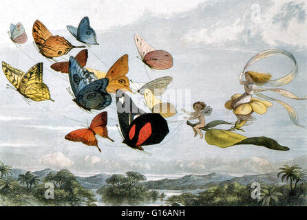 Fairy Procession. A fairy is a type of mythical being or legendary ...