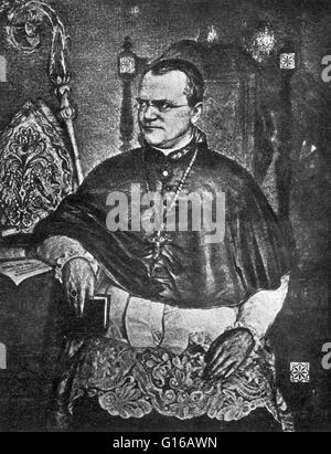 GREGOR MENDEL Austrian monk and botanist 1822 to 1884 whose work ...