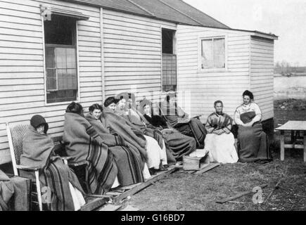 MARY MALLON, (1869-1938) known as 'Typhoid Mary' ; though herself ...