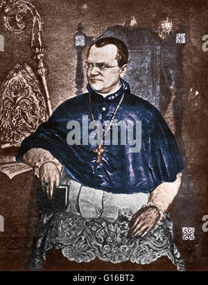 Color enhancement of a portrait artwork of Gregor Johann Mendel (July ...