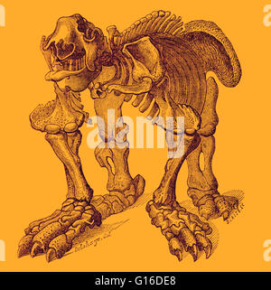 Megatherium animal from the Pleistocene epoch of South America Stock ...