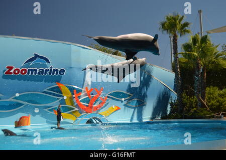 Zoo Marine in Albufeira Portugal dolphin show Stock Photo - Alamy