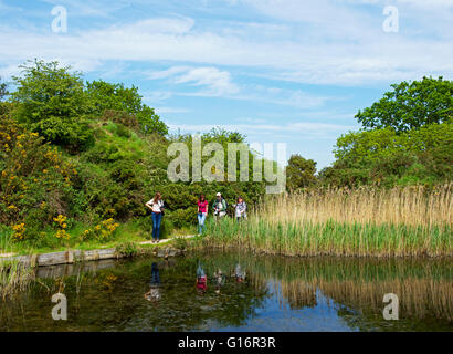 Pond at Fingringhoe Wick, an Essex Wildlife Trust nature reserve near ...