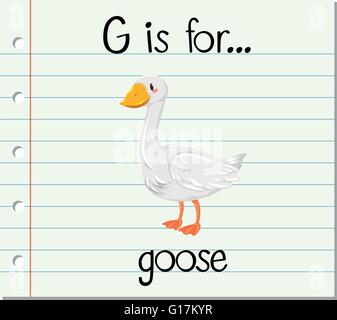 Flashcard letter G is for goose Stock Vector Image & Art - Alamy