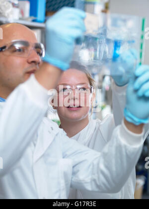 Scientists viewing a protein gel, Jenner Institute, Oxford University ...