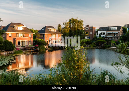 Dutch rural landscape with typical homes Stock Photo - Alamy