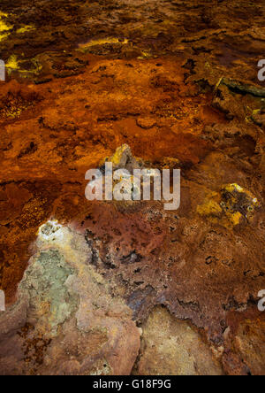 The colorful potassium salt crust formed by hot springs in the danakil ...
