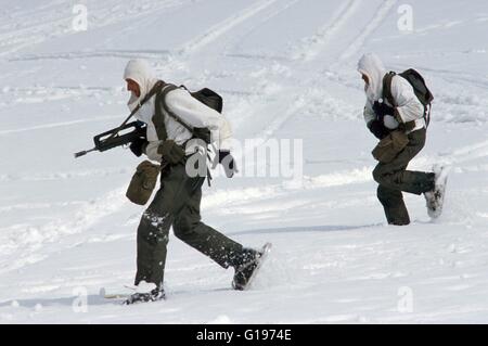 French army, mountain troops "Hunters of the Alps" during military ...