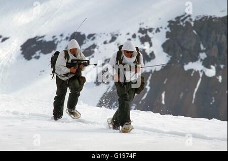 French army, mountain troops "Hunters of the Alps" during military ...