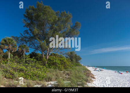 BEACH DELNOR-WIGGINS PASS STATE PARK NAPLES FLORIDA USA Stock Photo - Alamy