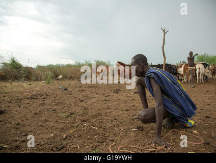 Bodi Tribe Man And Cattle, Hana Mursi, Omo Valley, Ethiopia Stock Photo ...