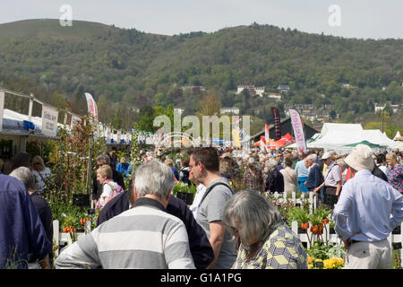 RHS Malvern Spring Show crowds enjoying he shopping Stock Photo - Alamy