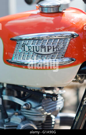 Triumph motorcycle tank badge , Classic british motorcycle Stock Photo ...