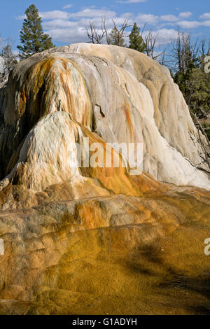 Orange Spring Mound in Mammoth Hot Springs, Yellowstone National Park ...