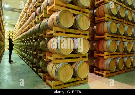 France, Gironde, Blanquefort, Castel group, the largest wineries in ...