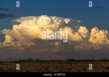 Distant thunder cloud (Cumulonimbus incus) erupting in the sky near ...