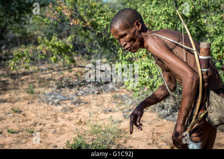 san bushmen during a hunting in central kalahari in namibia Stock Photo ...