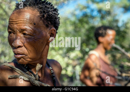 Woman of Bushmen of the San people gathering wood for fire in the ...