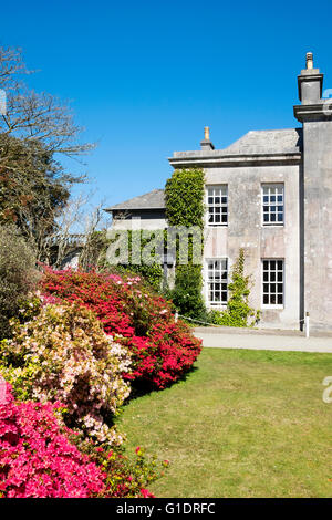 Trewithen gardens, Truro, Cornwall, UK. The house was rebuilt in 1738 ...