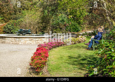 Trewithen gardens, Truro, Cornwall, UK. The house was rebuilt in 1738 ...