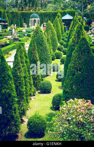 PATTAYA,THAILAND - March 18,2016: Green bonsai tree in a tropical Park ...