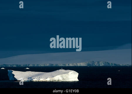 Floating ice Antarctic Sound at dawn Antarctic Peninsula Antarctica ...