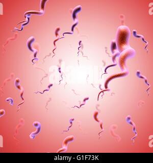 Syphilis bacteria, illustration Stock Photo - Alamy