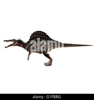 Dinosaur Spinosaurus isolated on white background Stock Photo - Alamy