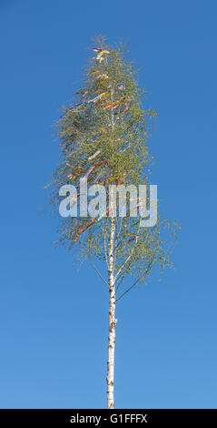 traditional ornamented birch maypole in front of blue sky Stock Photo ...
