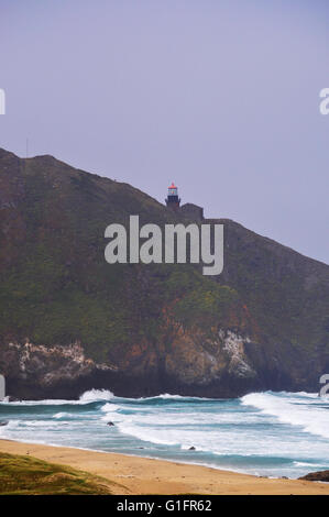 Point Sur Light Station State Historic Park, charlock flowers, view ...