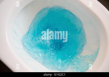 flushing a closestool with blue water Stock Photo - Alamy