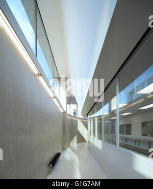 Curved basement viewing corridor with fenestration to cleanroom and ...