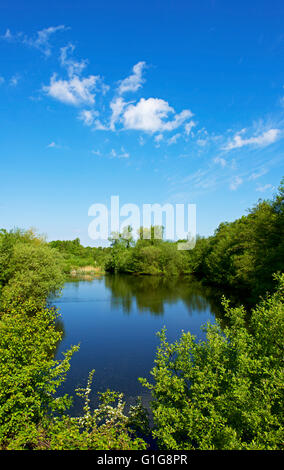 Lake at Fingringhoe Wick, an Essex Wildlife Trust nature reserve near ...