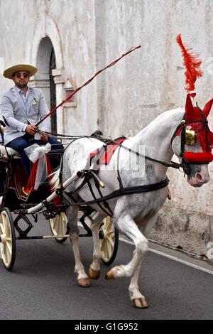 Horse-drawn carriage pulled by white horses during the parade at ...