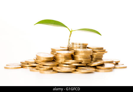Business concept: growing money in the flowerpots on table Stock Photo ...
