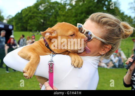 Rachel Riley judging a charity dog show on Hampsted Heath Stock Photo ...