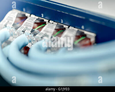 Server rack with internet patch cord cables connected to patch panel in ...