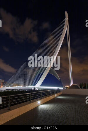 City of valencia night bridge Puente del Mar streetlights column detail ...