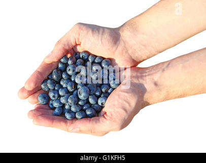 Handful of round berries black and white line illustration Stock Photo ...