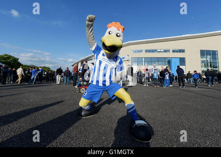 Brighton and Hove albion mascot Gully the seagull Stock Photo - Alamy