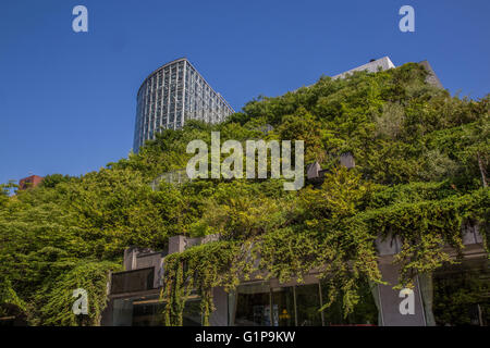 ACROS stands for Asian Crossroads Over the Sea - ACROS Fukuoka ...