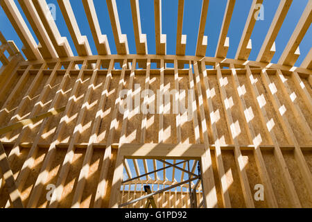 Timber frame building being erected. Wooden structure partially ...